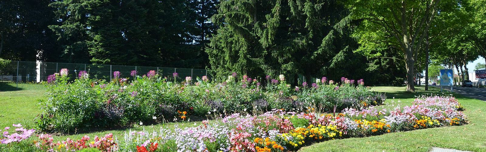 Les espaces verts - Ville de Rillieux-la-Pape